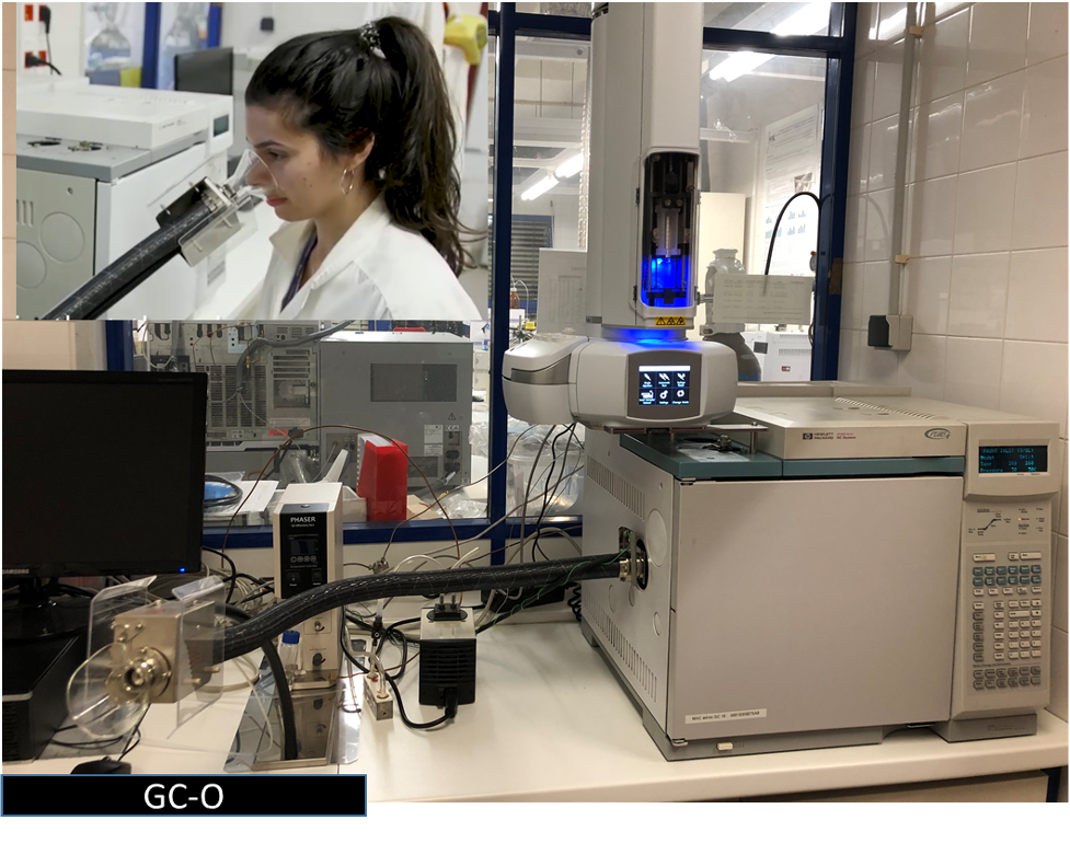 GC special configurations